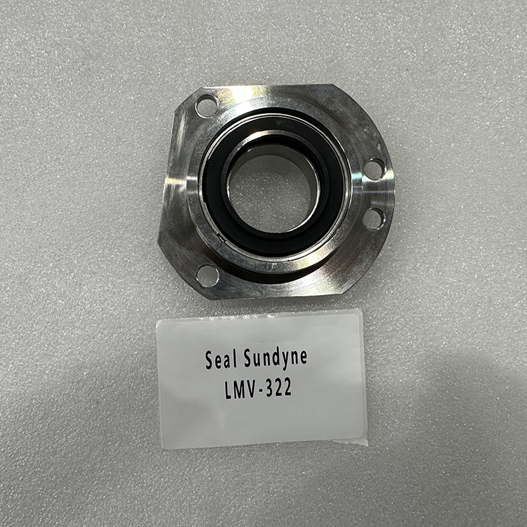 Oil Mechanical Seal - Handsome Intelligent Technology Co., Ltd.
