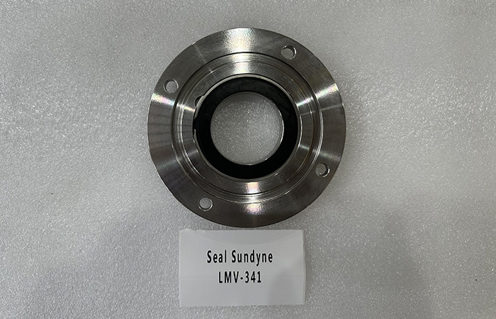 Oil Mechanical Seal - Handsome Intelligent Technology Co., Ltd.